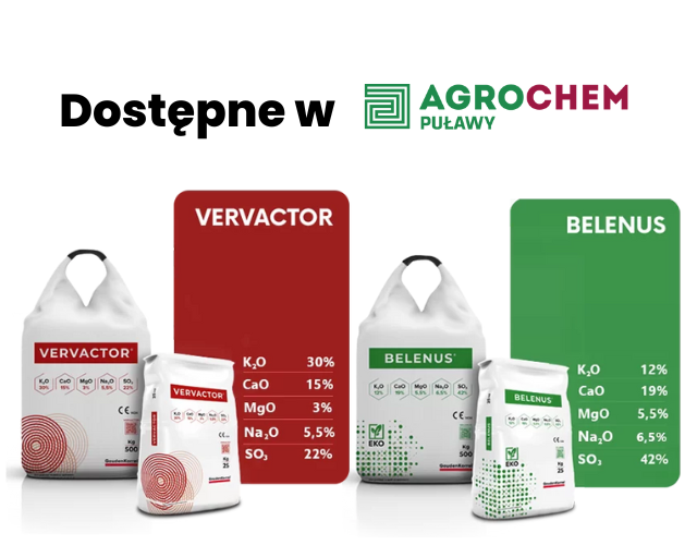 Nawozy mineralne Belenus i Vervactor – Agrochem Puławy